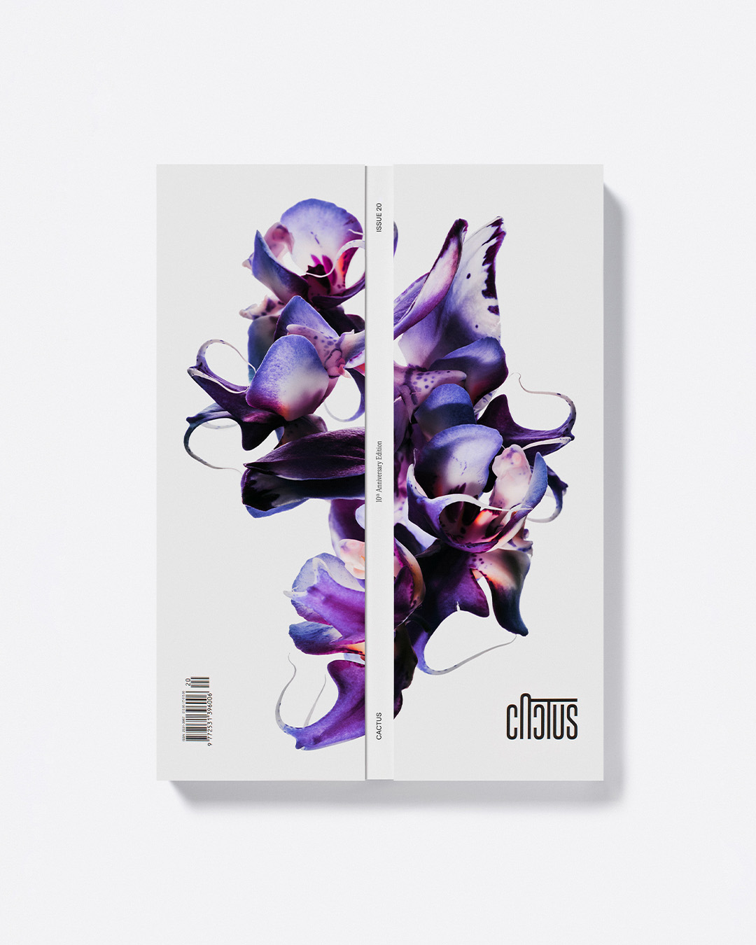 Dieci anni di Cactus Magazine